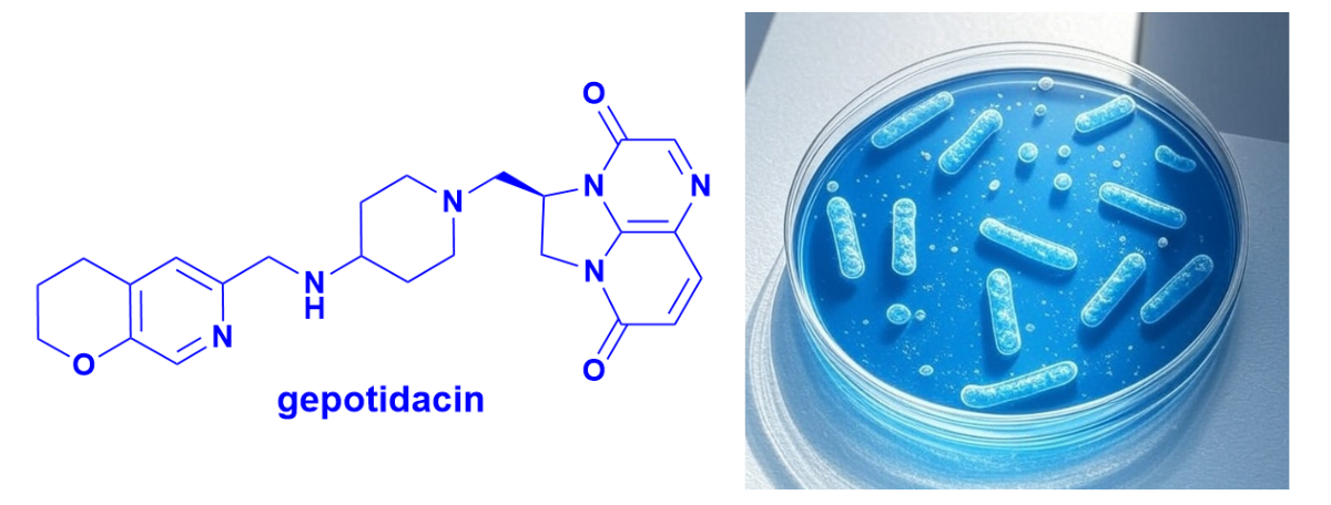 FDA Greenlights Gepotidacin: The First New Oral Antibiotic for UTIs in ...